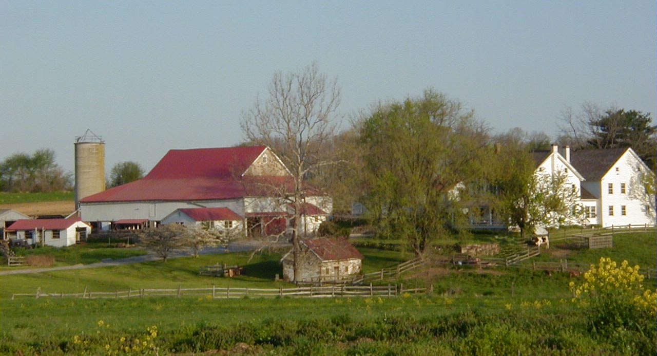 Rosanne Dorsey: farm background