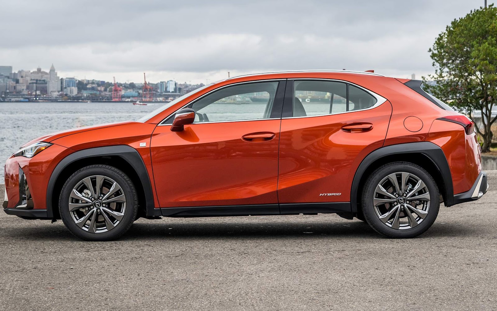 Lexus UX: SUV híbrido chega ao Brasil com preços partindo de R$ 169.990 ...
