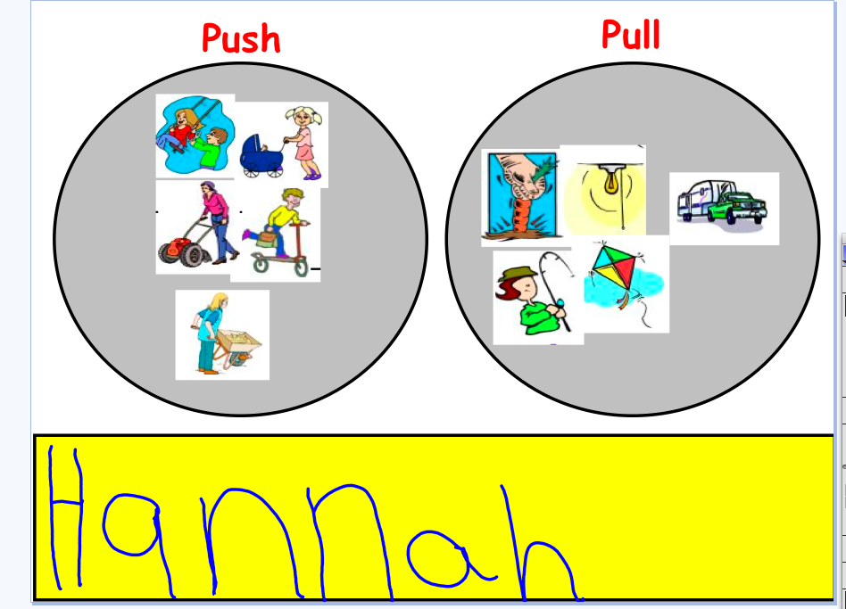 Room 14 Sunnybrae Normal School: May 2011