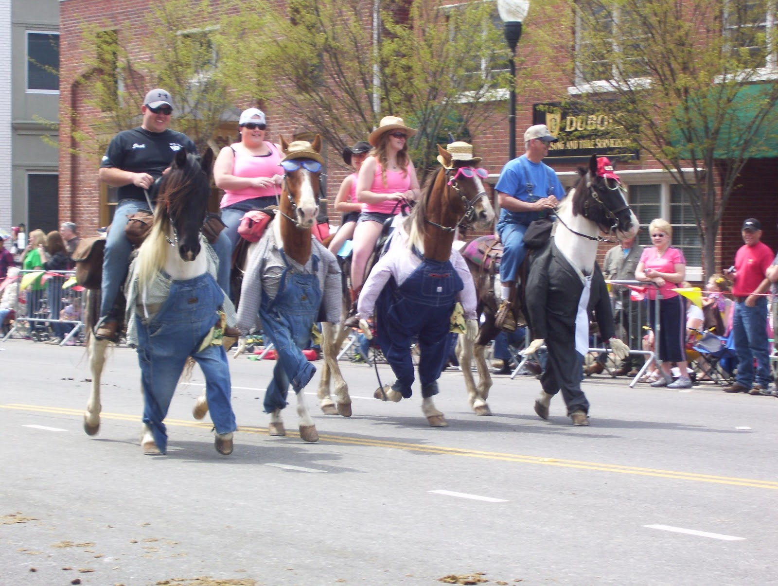 The Art of Positive Living: Mule Day, Revisited