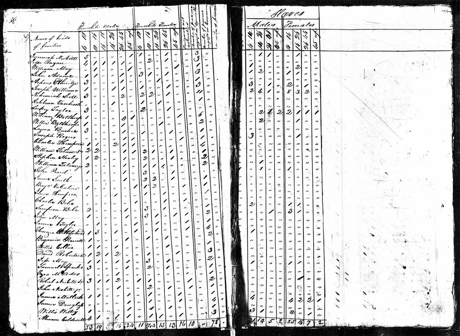 Family Tree & Branches: ANCESTOR SPOTLIGHT: JEREMIAH NESBITT