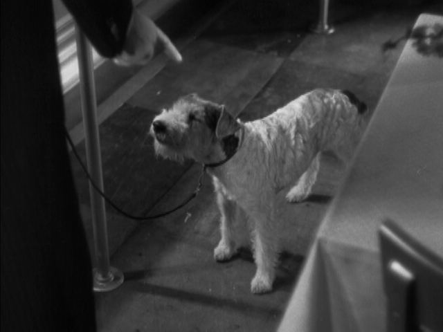 Cinema Style File--Toasting William Powell and Myrna Loy in 1934's THE ...