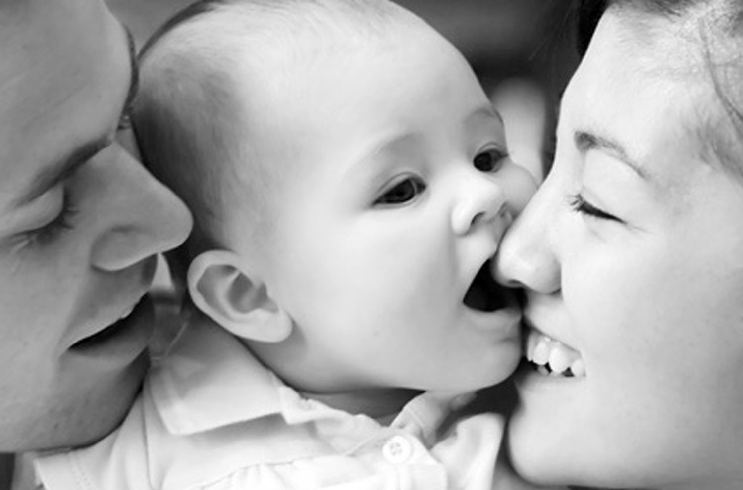 Psicología: 1. El Holón de la Reproductividad Humana