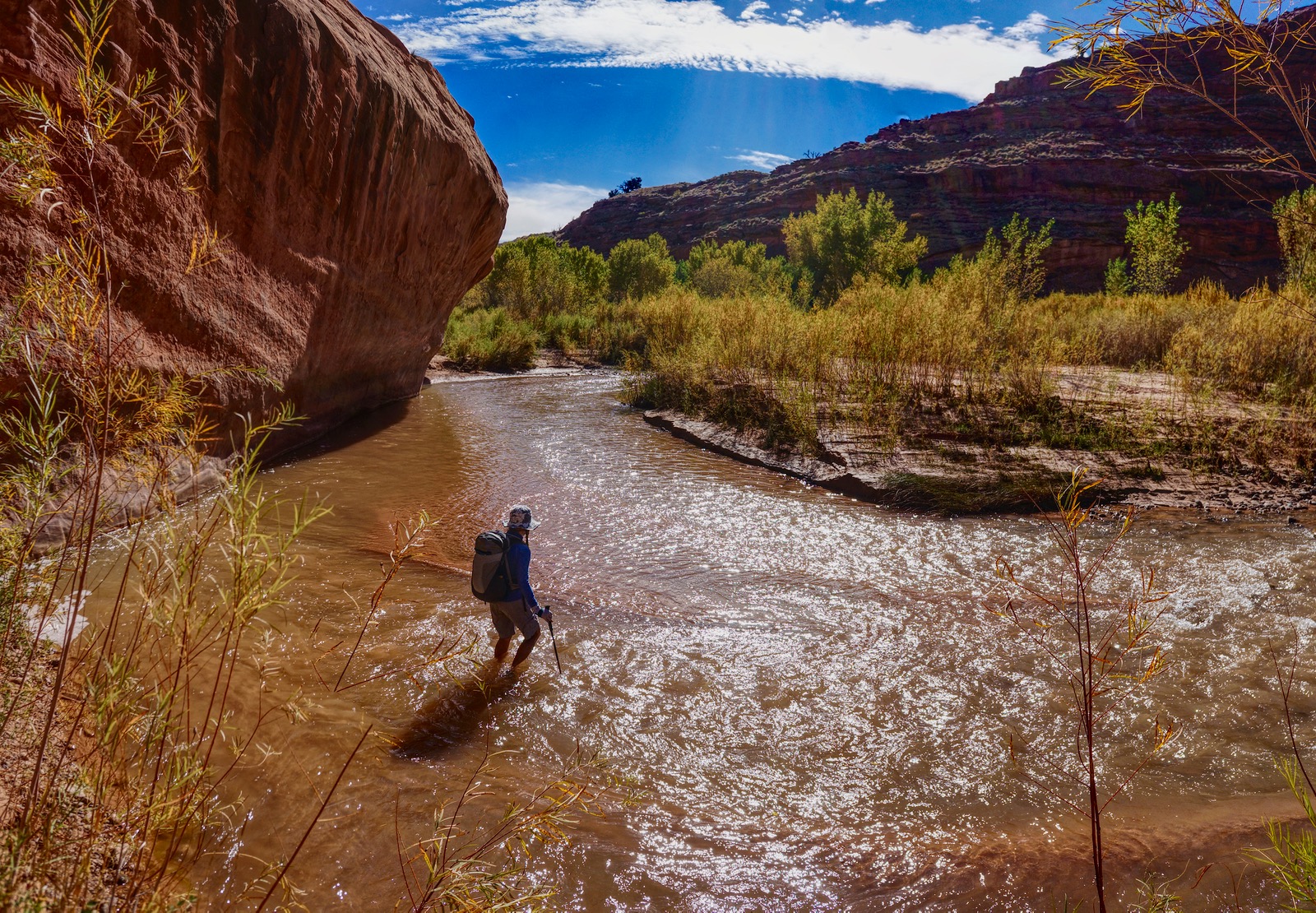 Earthline: The American West: The Golden Cathedral of Neon Canyon