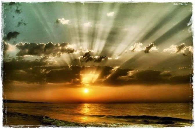 Borboletras soltas: Radiance