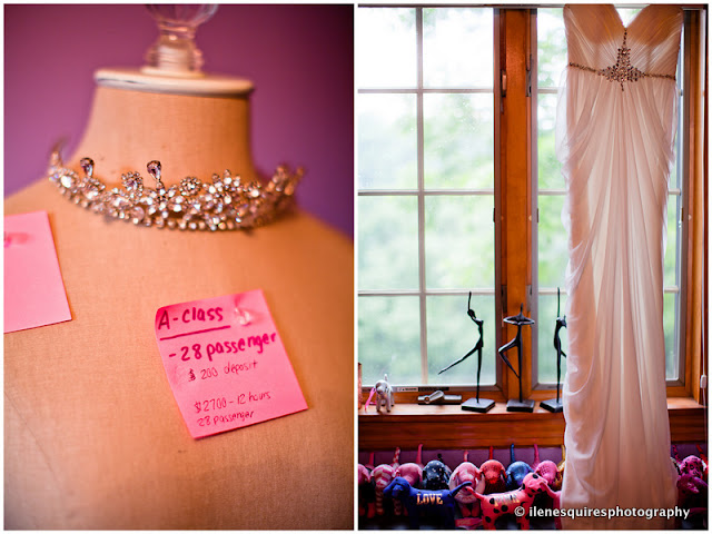 Ilene Squires Photography: Staten Island Technical High School Prom ...