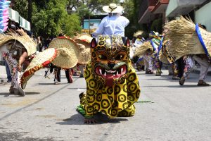 francisco lavin: LA DANZA DEL TECUÁN
