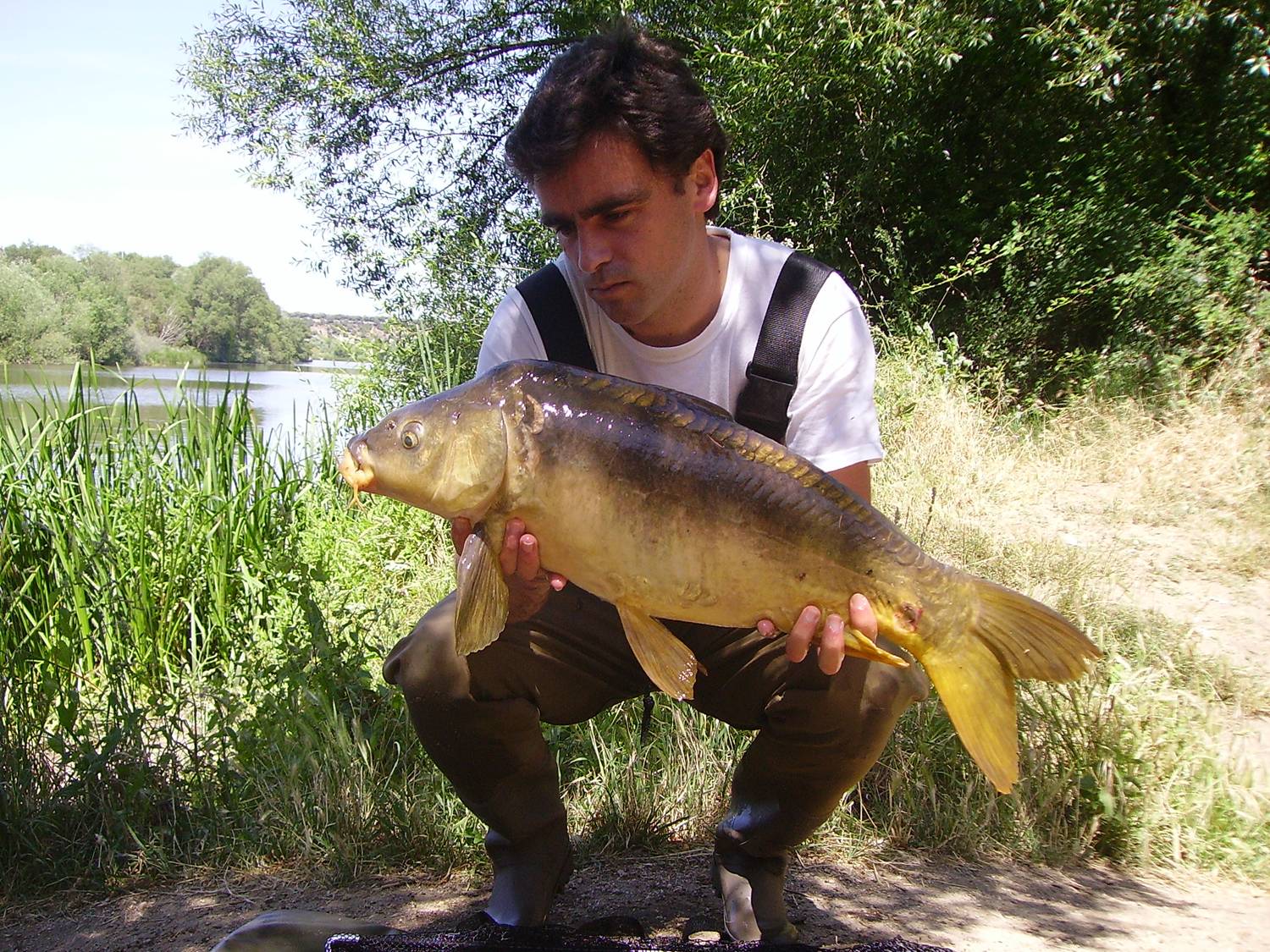 Ultimate Carper: Ultimas Capturas