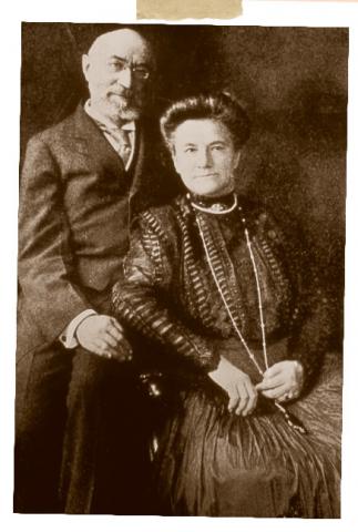 CHINAR SHADE : August 2018