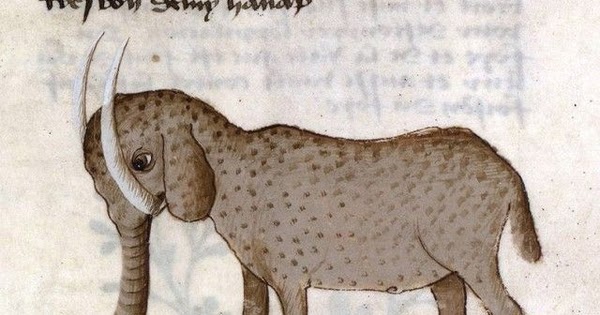 Indus elephantus haud curat culicem