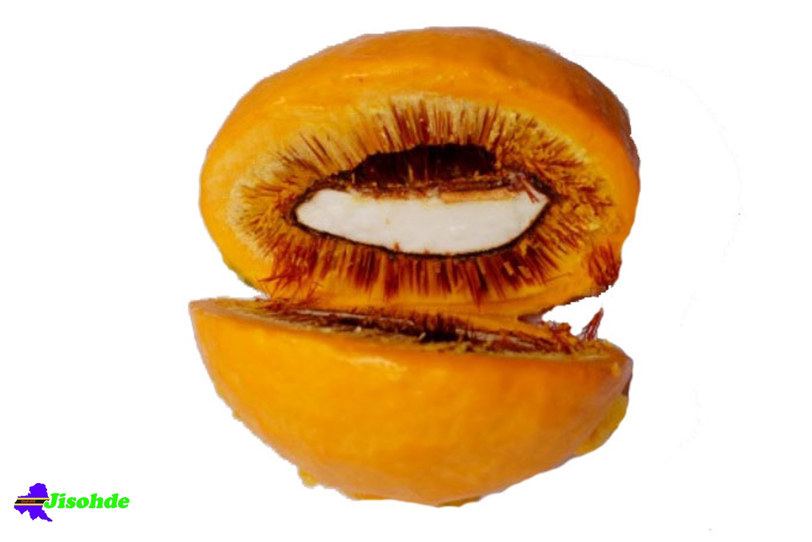 Unaienses: O Pequi do cerrado