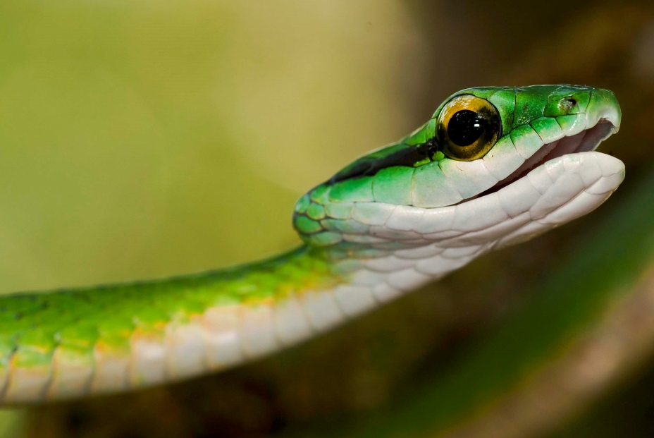 Parque Generalísimo Francisco de Miranda