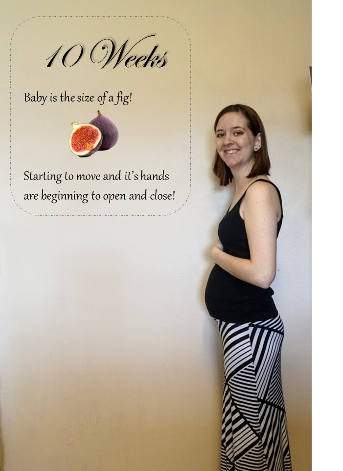 The Nerdy Wilson's: 10 Weeks - Baby Wilson #2