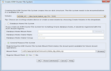 ORACLE HOME: ASM Cluster File System (ACFS)