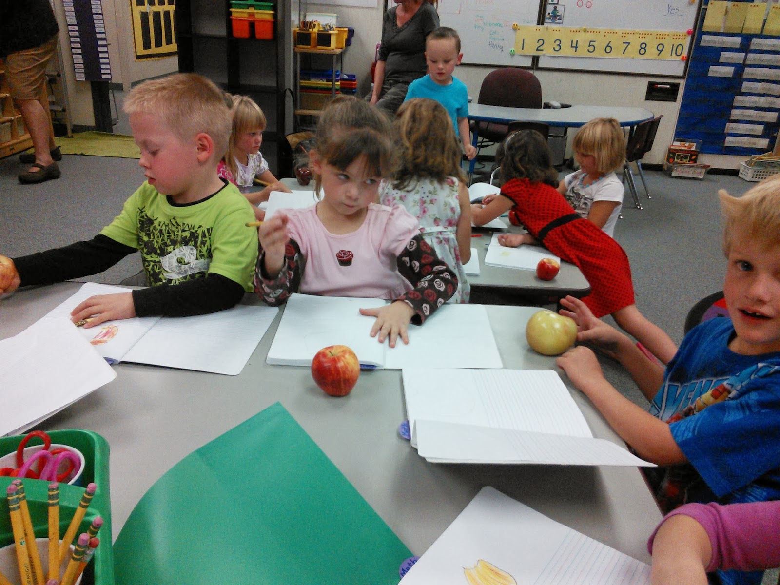 Kindergarten Inquiry Notebooking: Modeling Scientific Drawings