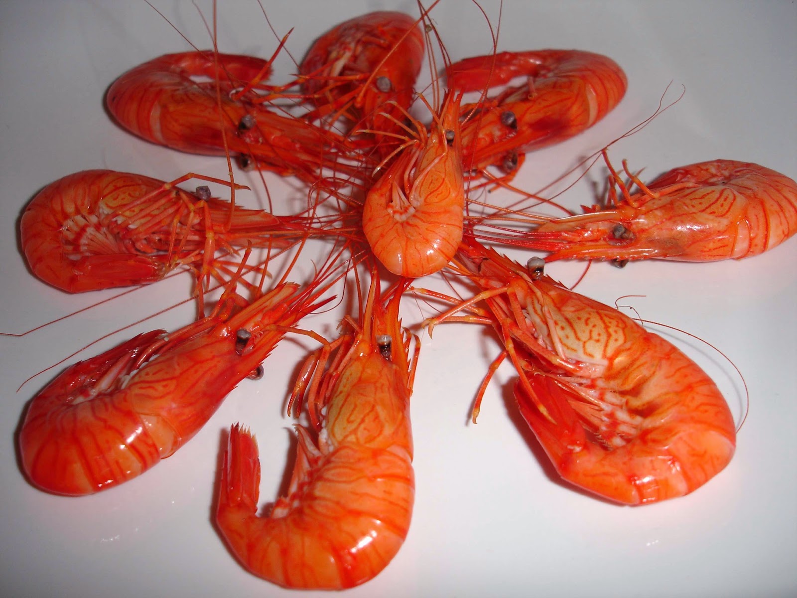 La crevette bouquet (ou crevette rose) Crevette grise (ou chevrette) en ...