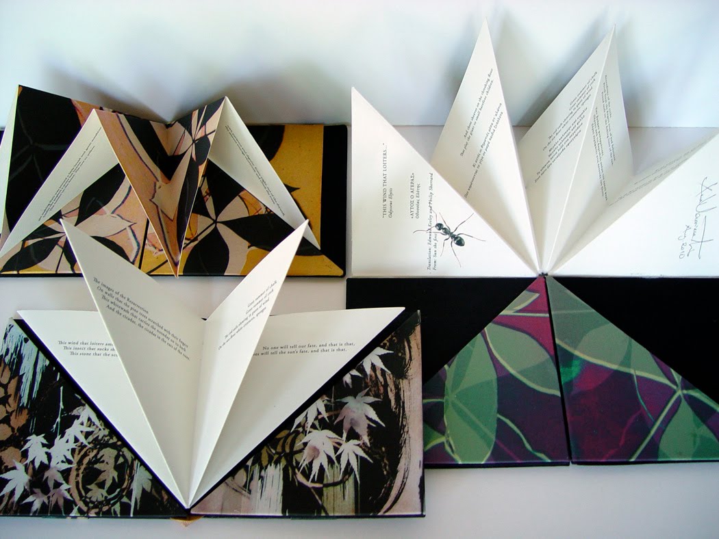 PlásticAVENTURA: LIBRO DE ARTISTA