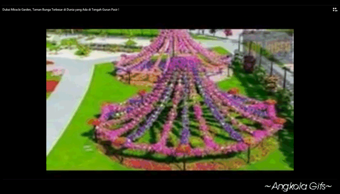 Animation Wallpaper: Animasi Taman Bunga Dubai - Gif