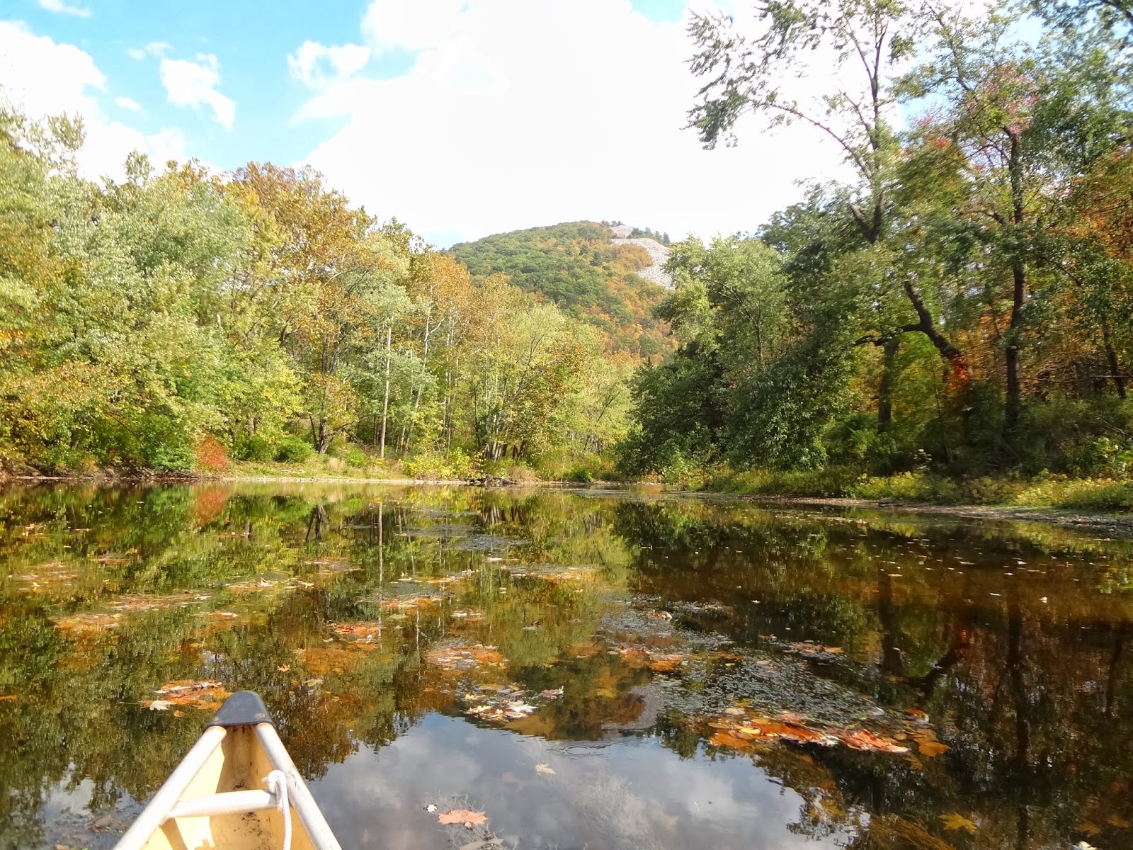 PETRULIONIS FAMILY: River Fishing The Blue Juniata