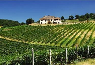 Rome Cooking Classes: Ancient Roman Wines Rediscovered in the Sabine ...