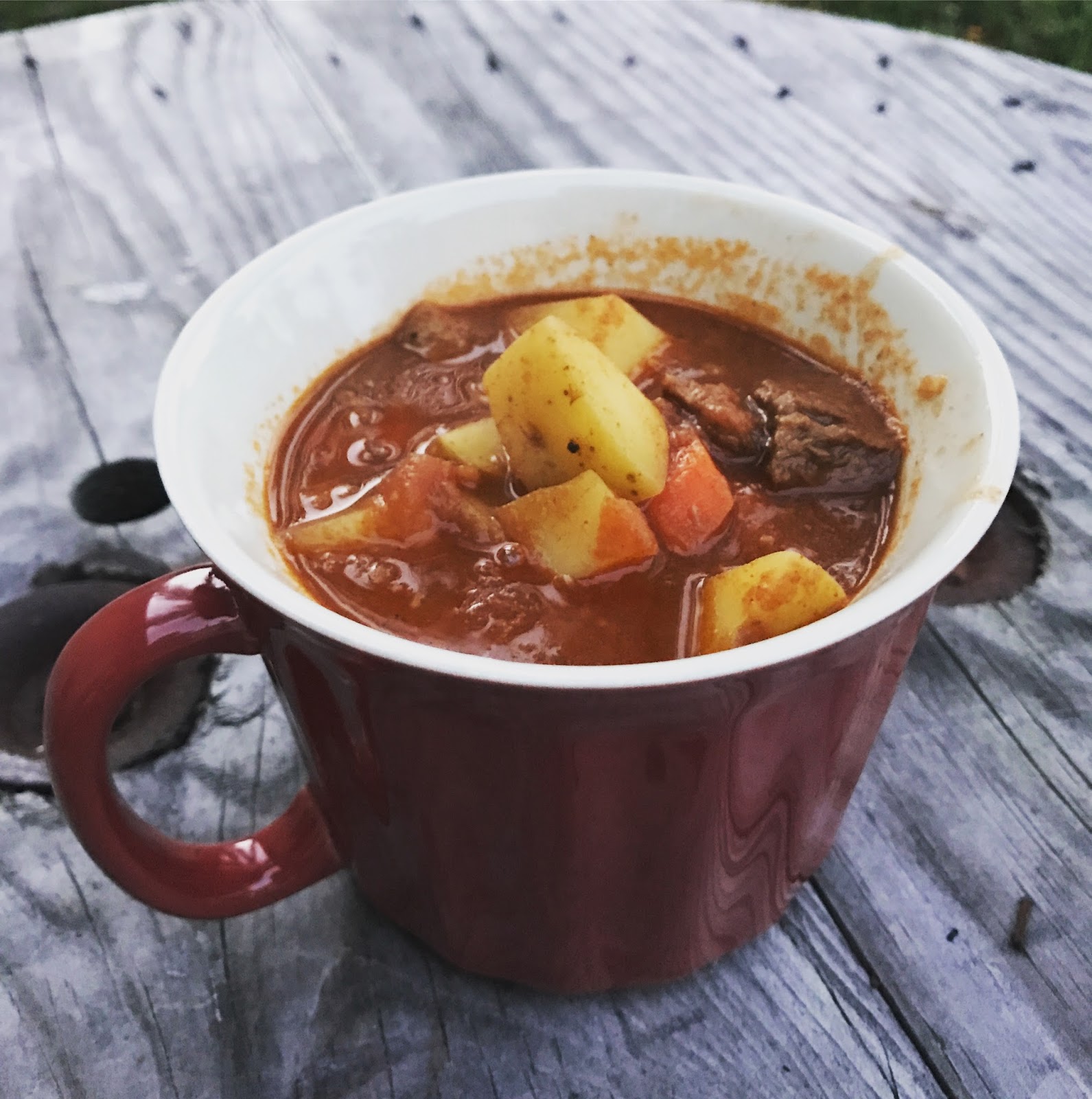 Serendipitous Discovery: Hungarian Gulyas Recipe