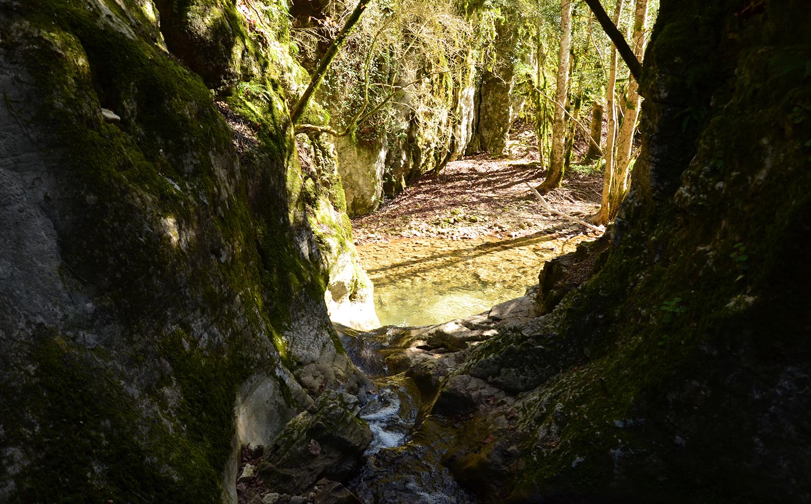 DROMESCAPE - Randonnées en Drôme et Escapades photographiques: Le ...