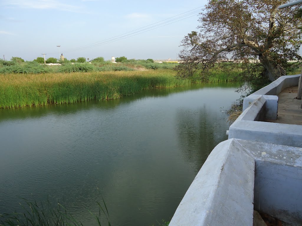 Tamilnadu Tourism: Kothandarameswarar Temple, Kayathar, Thoothukudi