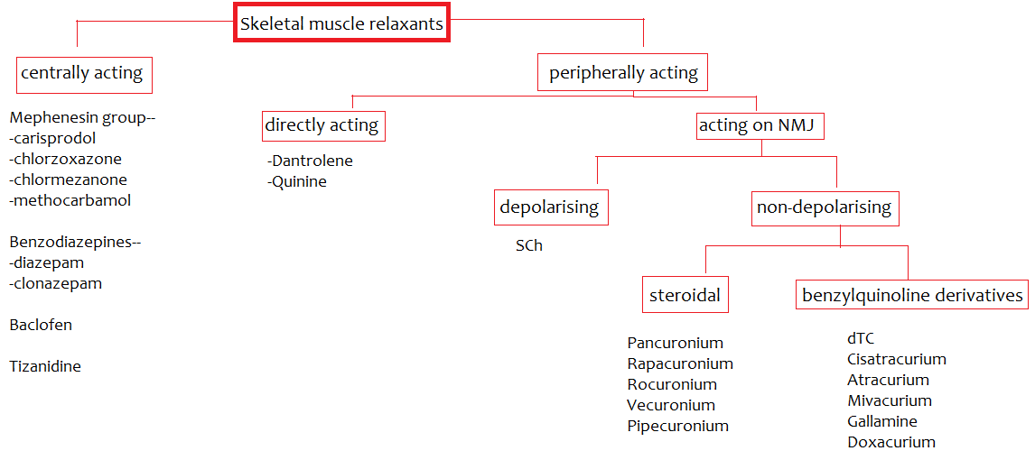 Shakuntala PGMEE notes (for AIIMS, AII INDIA, STATE PG exams): Skeletal ...