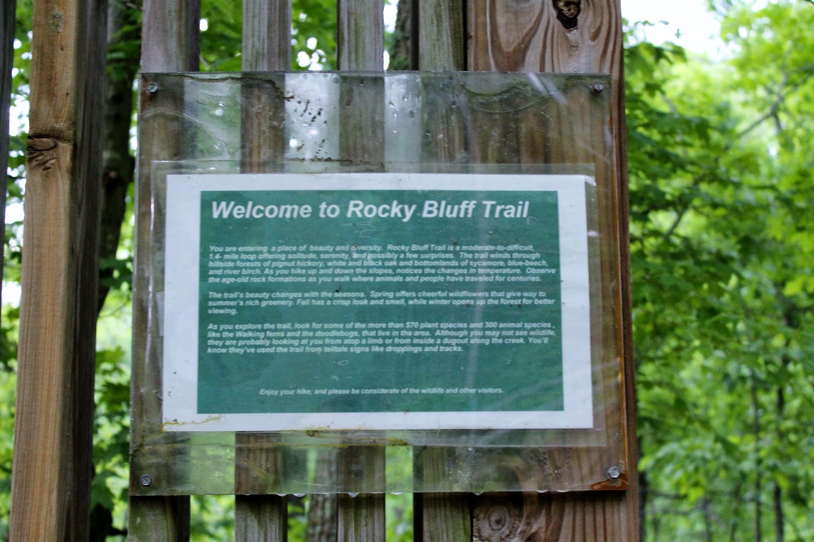 Experiencing Illinois: Rocky Bluff Trail
