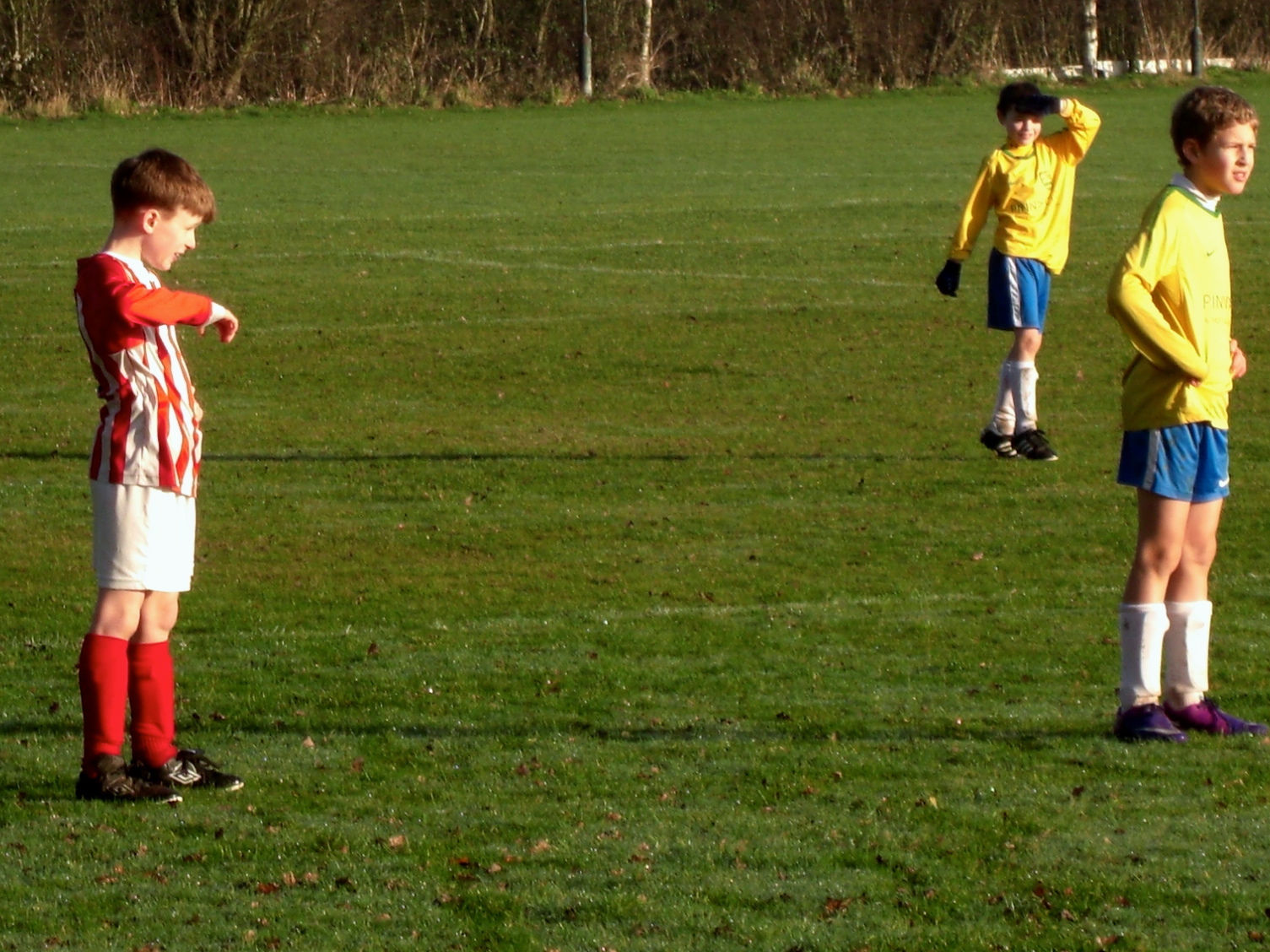 Heigham Park Rangers Under 9s 2012/13