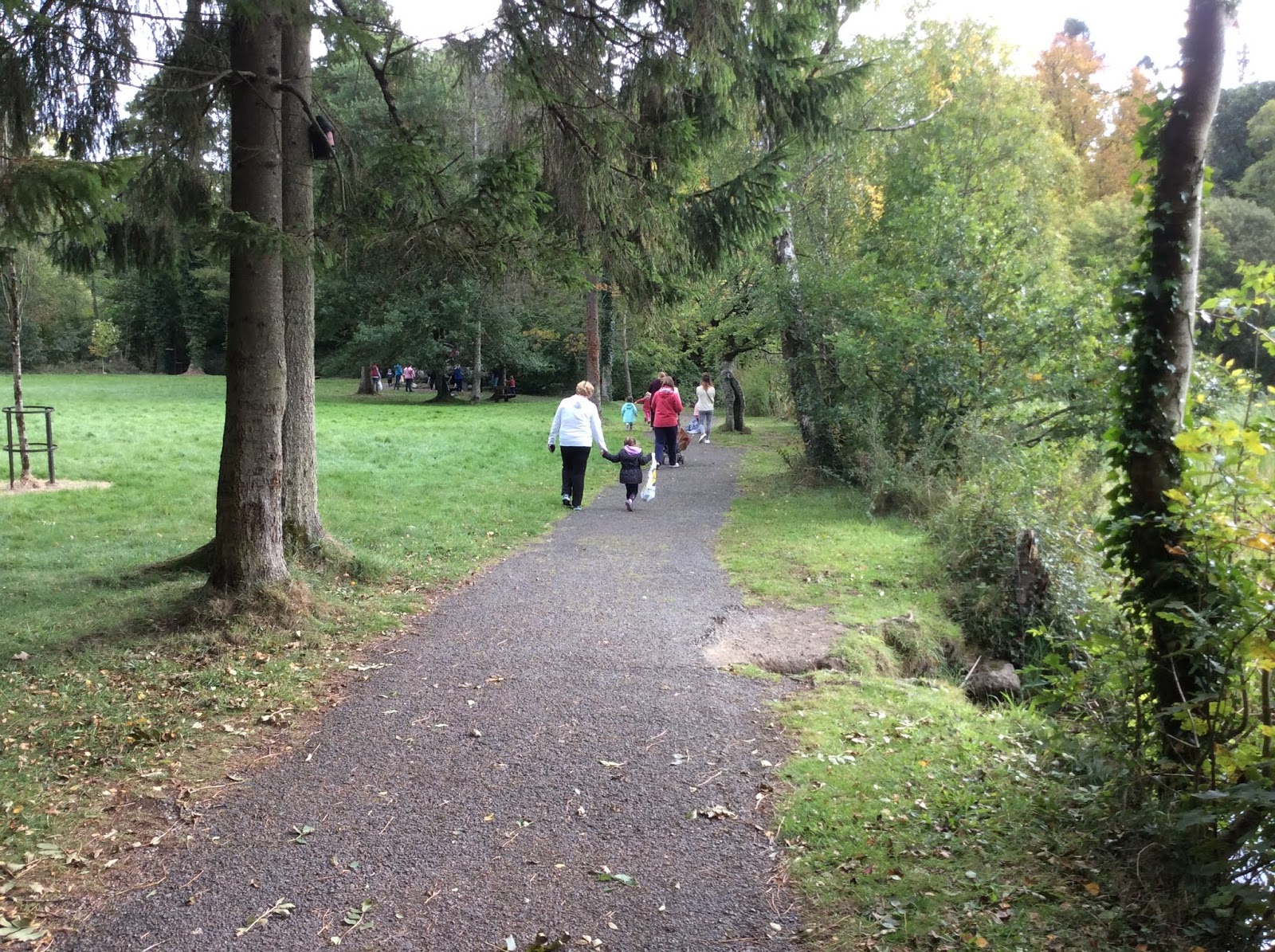Autumn Nature Walk in Donadea Forest Park