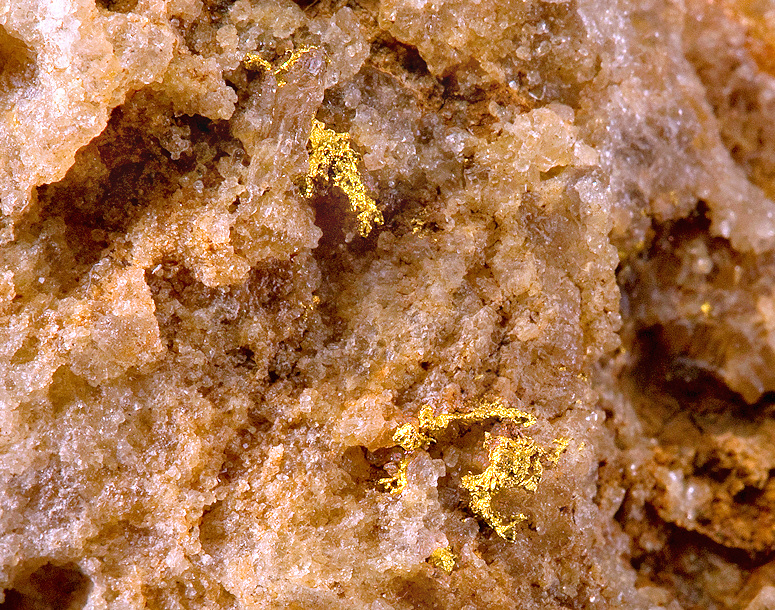 Guld | Rå Guld Nuggets i Stenen ~ Klima Naturali™