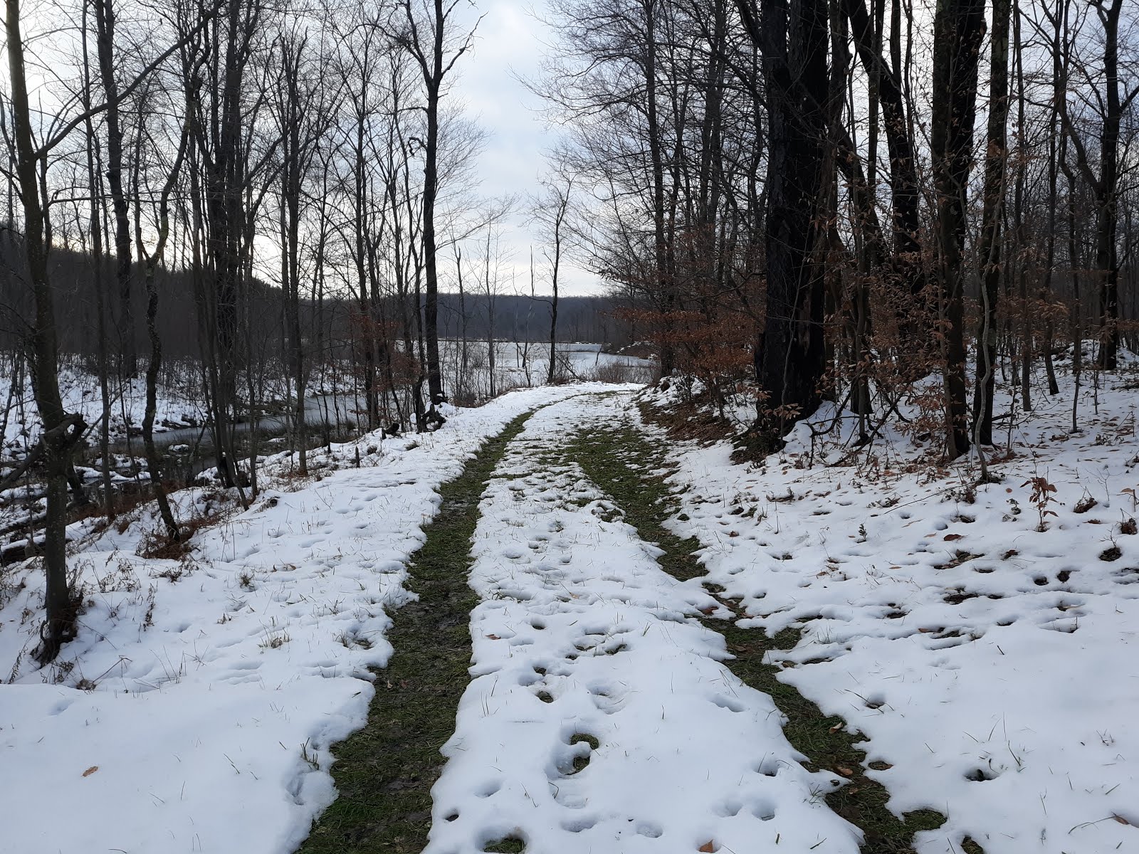The "Getting Out There' Blog: Buzzard Swamp, Allegheny National Forest ...