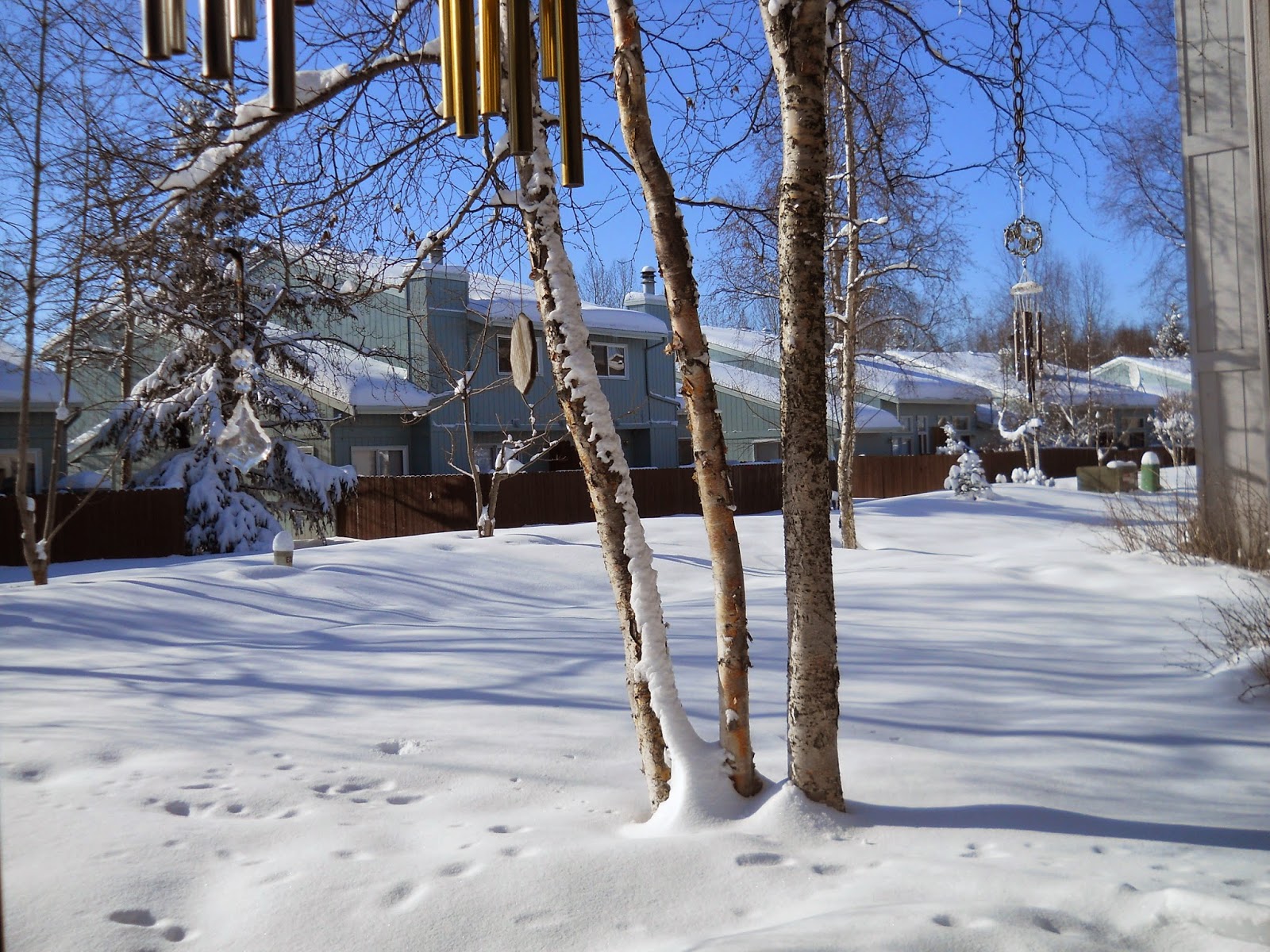 BOBBA CAPS DOXOLOGY: MAR 27, 14 .. AN ALASKAN 'SNOW PLOW'