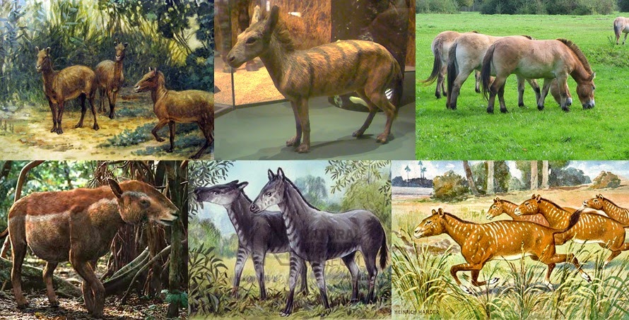 Palaeos, la historia de la Vida en la Tierra: ¿Cómo se dice? Primera parte