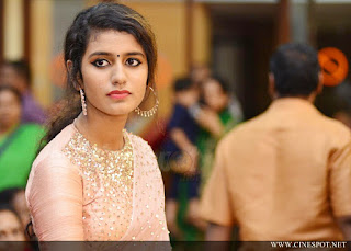 Priya Prakash Varrier Beautiful Saree Photos - Hollywood | Tollywood ...