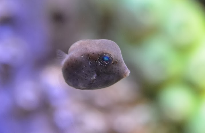 Exhibit Galleries Blog