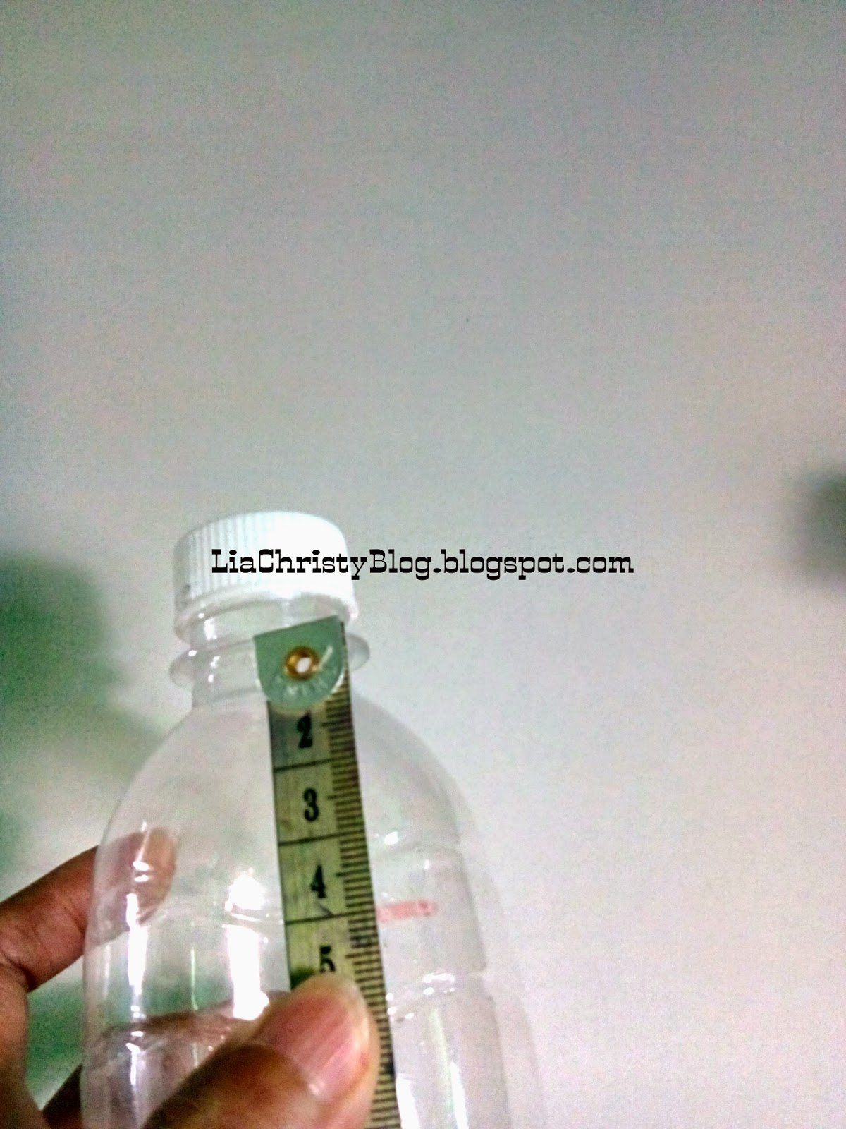 LiaChristyBlog.blogspot.com: Botle Bag Tutorial