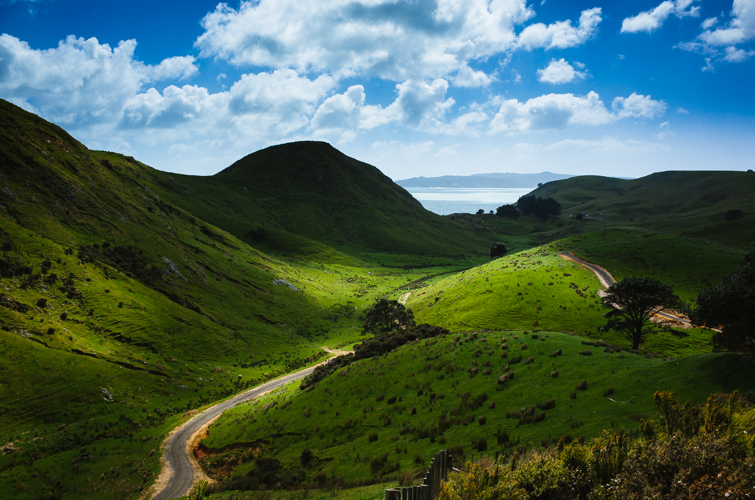 Why so serious, its just a hobby!: Sample photos of Ricoh GR with dust ...