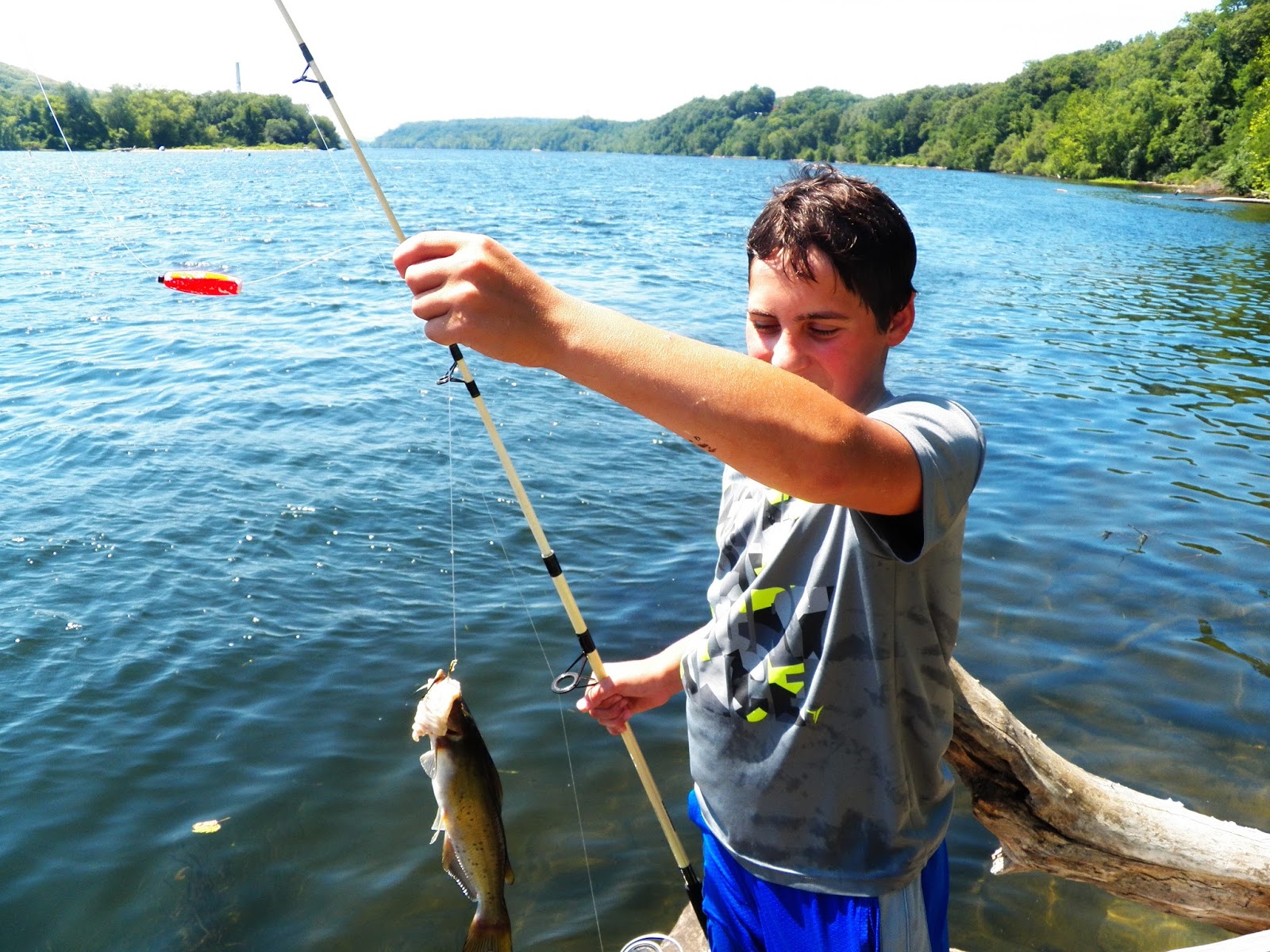 Connecticut Fly Angler: Eels, a Tiny Fluke, and Connecticut River ...