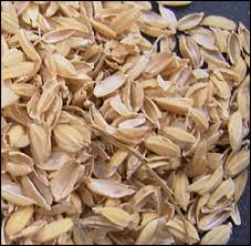 Do-It-Yourself Green Building with Jerry Young: Design - Rice Hull ...