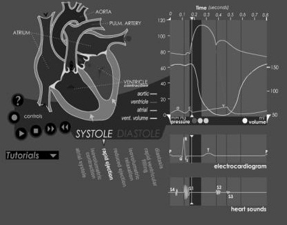 TELEMEDICINA - CARDIOLOGIA: CICLO CARDIACO