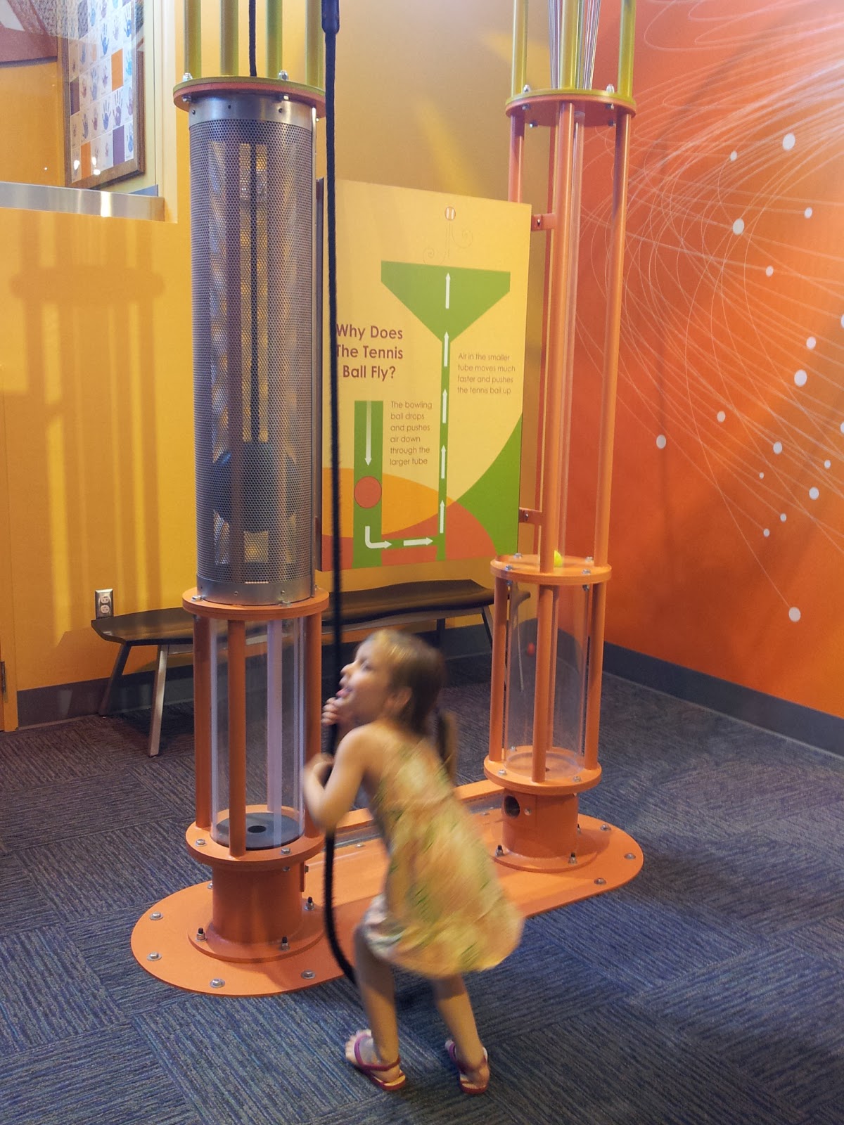 The Talbert Report: Rockingham Discovery Place