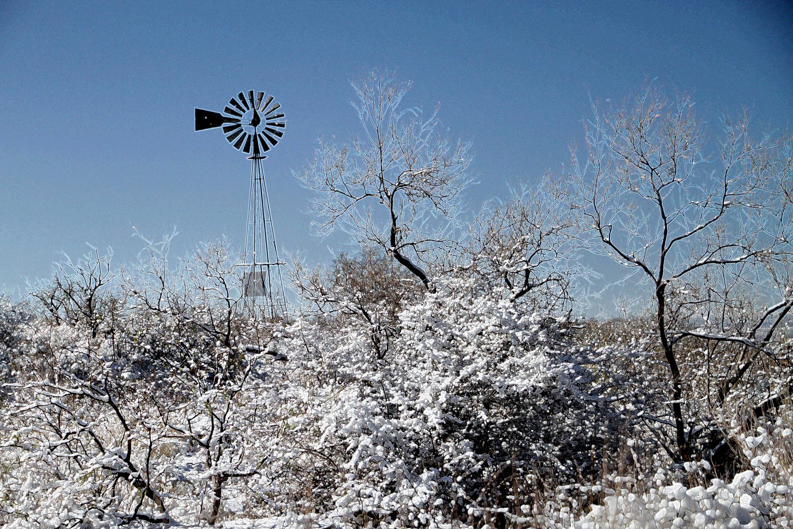 Views from Soledad Canyon: Snow Country