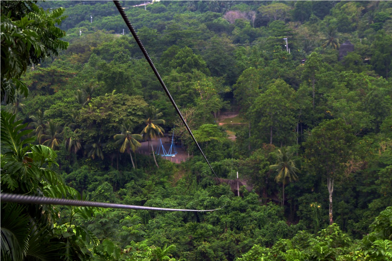 the viewing deck: Davao City Day Tour