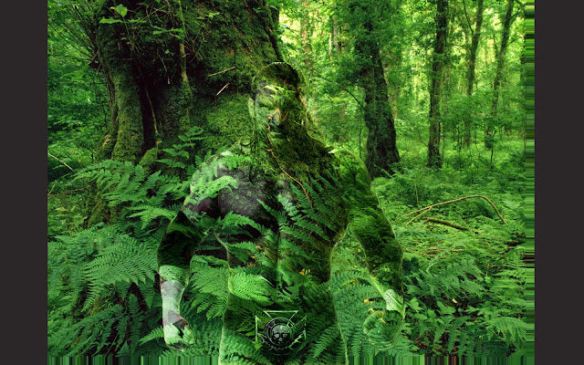 How To Create an Invisible ,Camouflage Effect In Photoshop CS6 ...