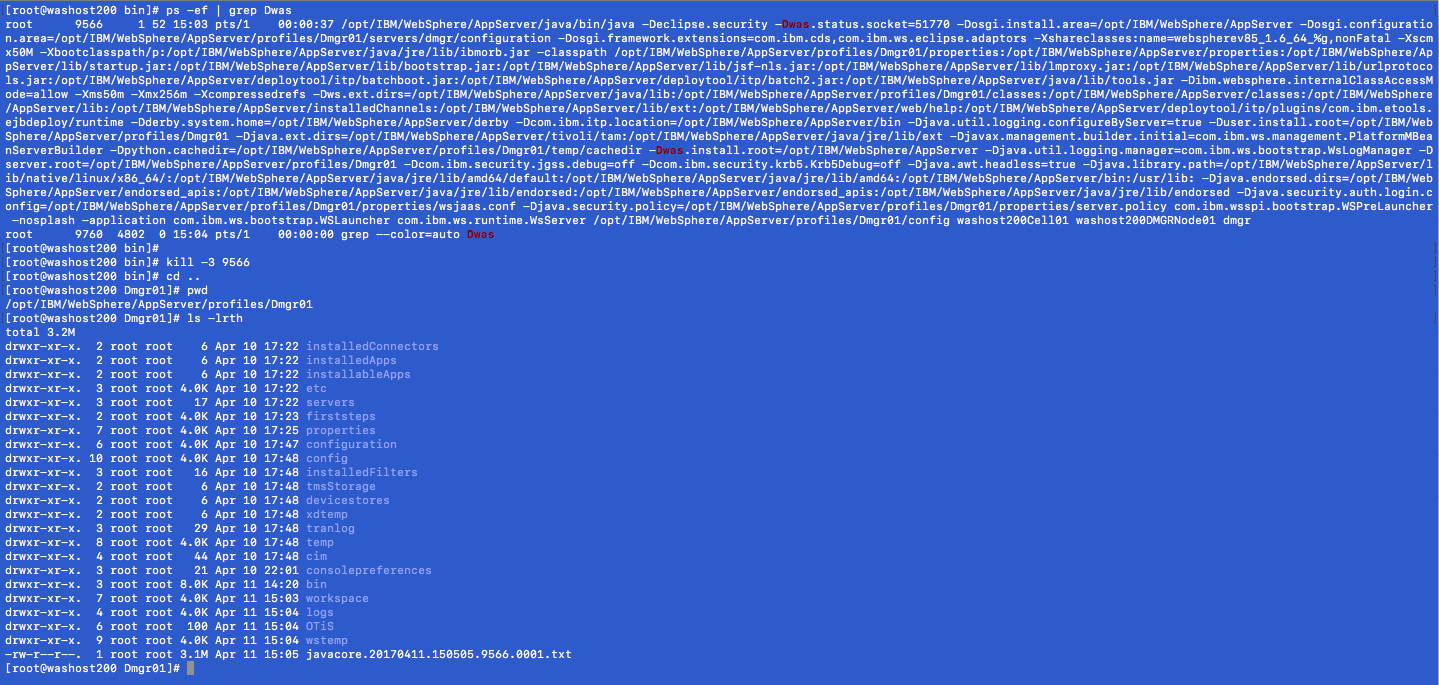 Websphere Application Server Generating Heapdumps And Thread Dumps In Was