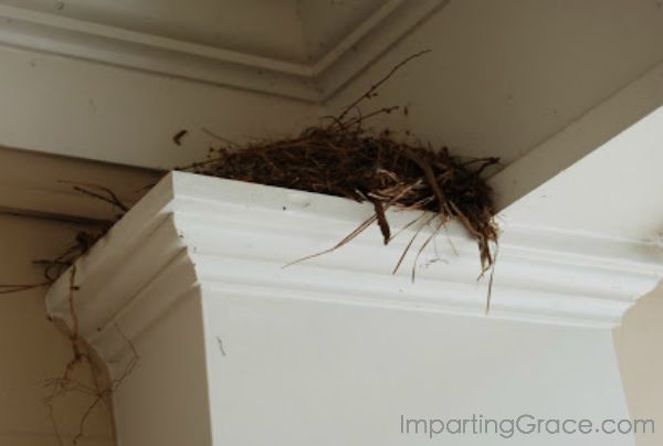 Imparting Grace: Empty nest, full heart