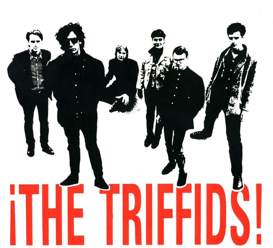 janglepophub: Album Review: The Triffids - Born Sandy Devotional (1986 ...