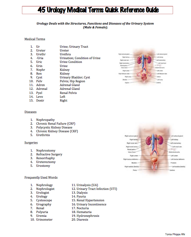 Easy Medical Terminology : Urostomy Free Urology Quick Reference Guide